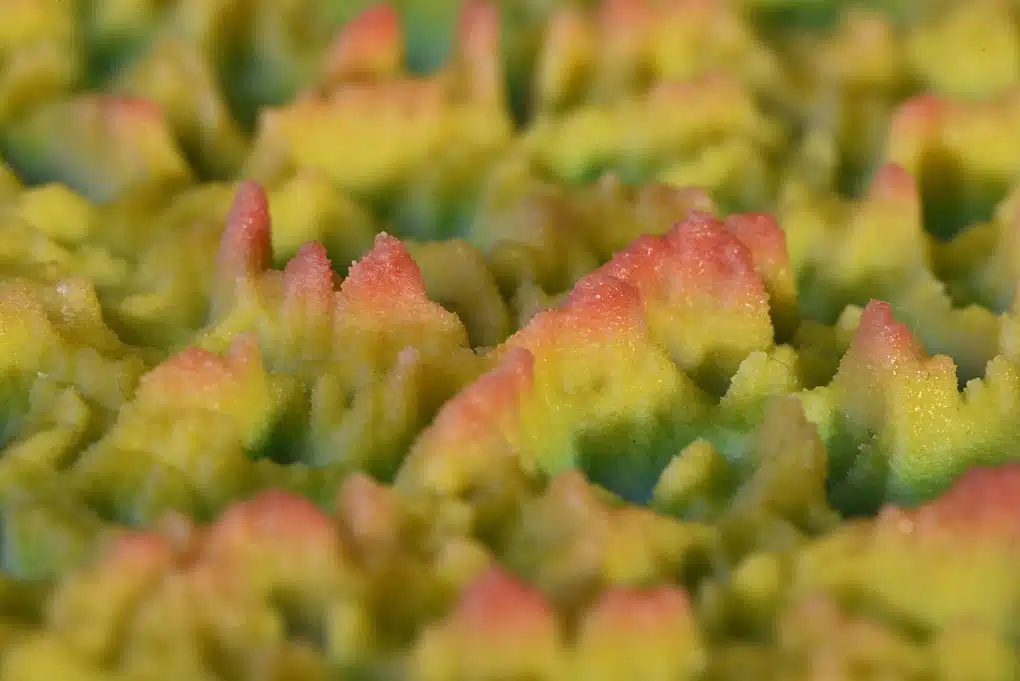 Surface profile - Tools and Technologies to measure and control